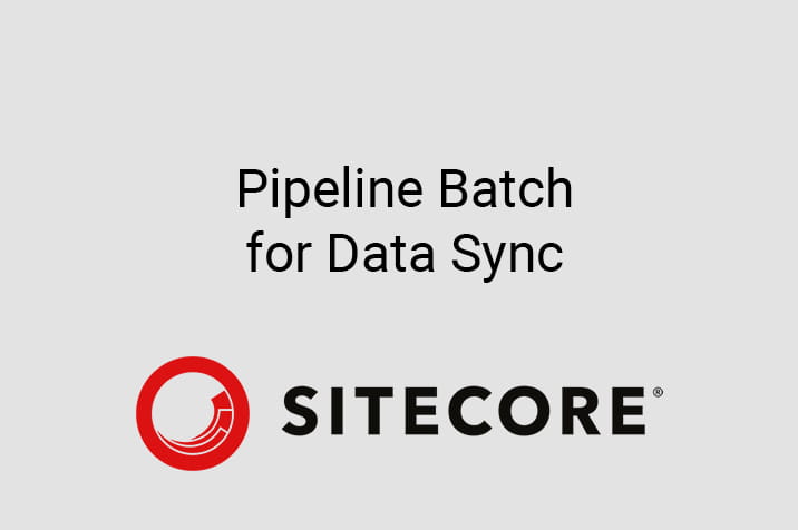 How to Run a Pipeline Batch Programmatically in Sitecore (a Full Guide)